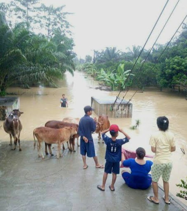 Banjir Besar Langkat 27 November 2025 “Air Naik, Harapan Turun: Ketika ...